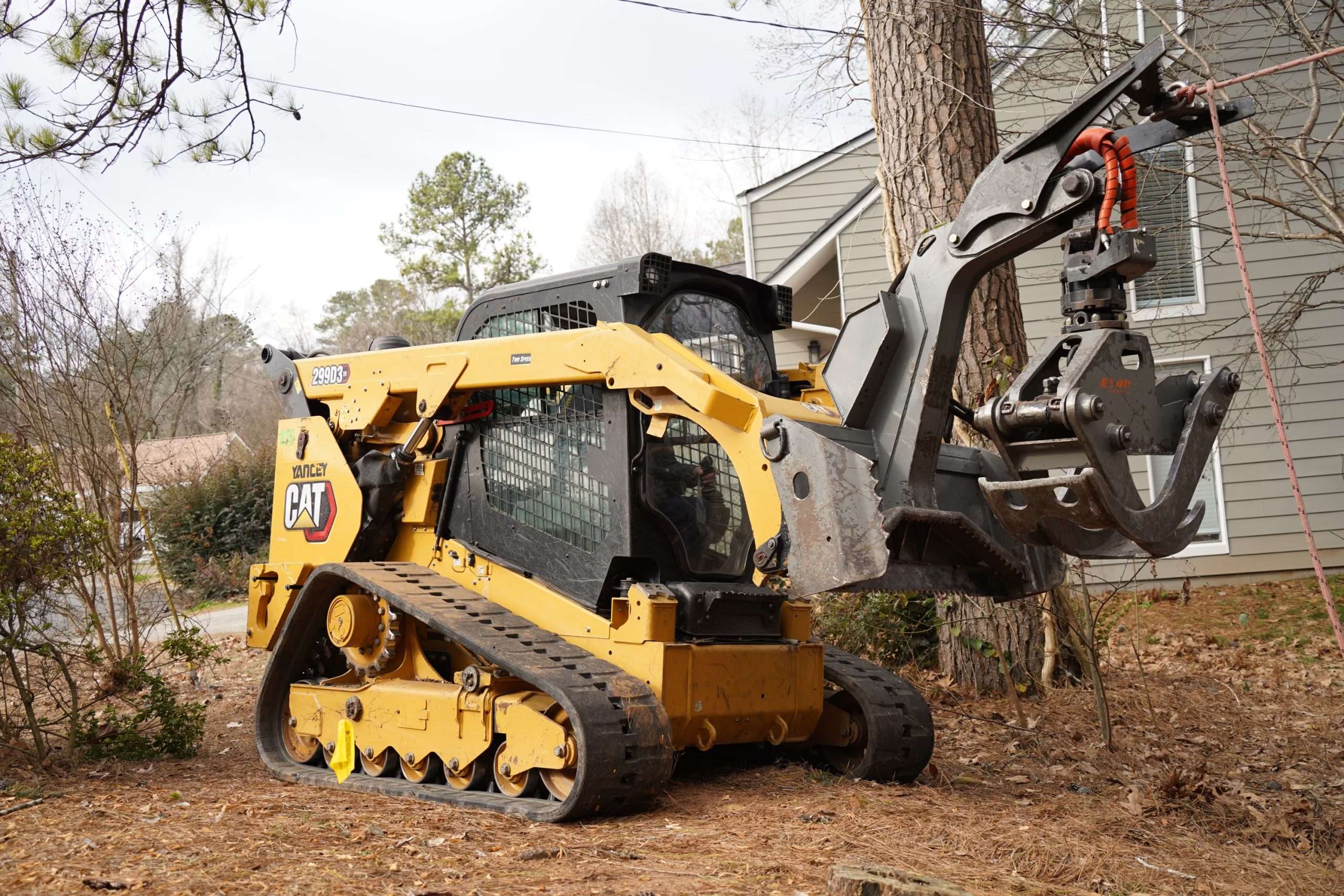 Portfolio - Kilmurry Tree