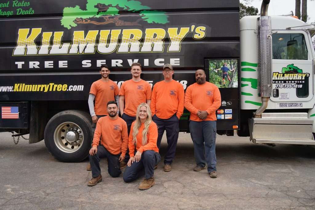 About Us - Kilmurry Tree