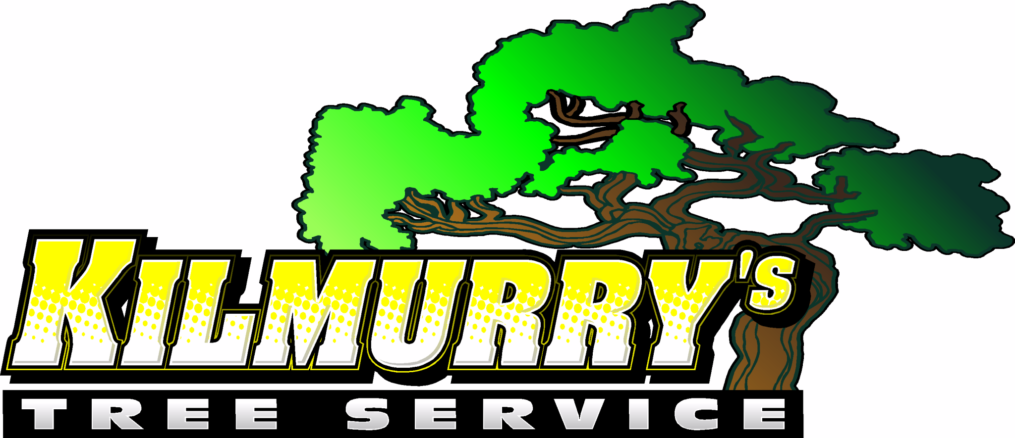 Best Tree Removal Services | Acworth, Woodstock, and Marietta ...