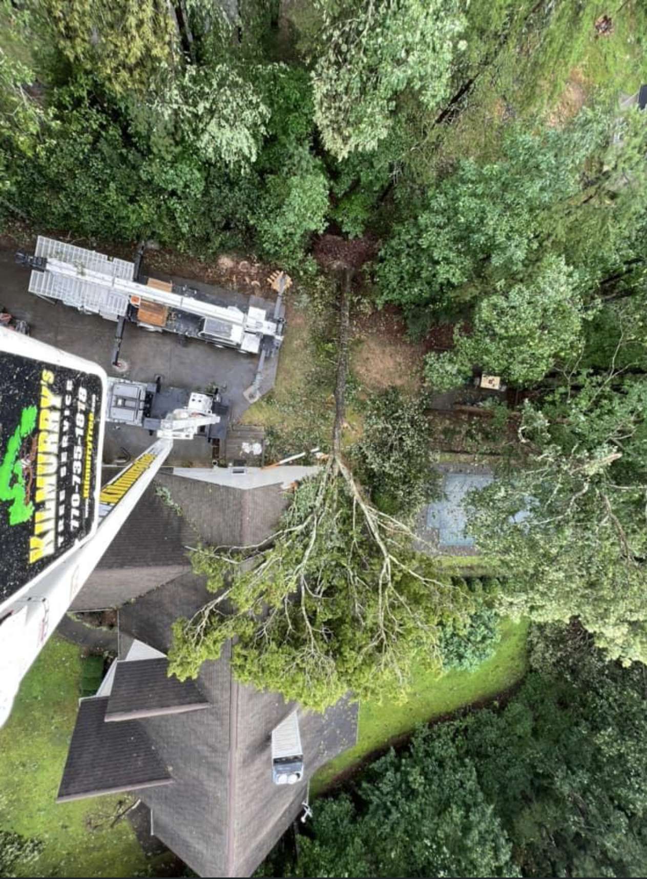 Tree Services - Kilmurry Tree