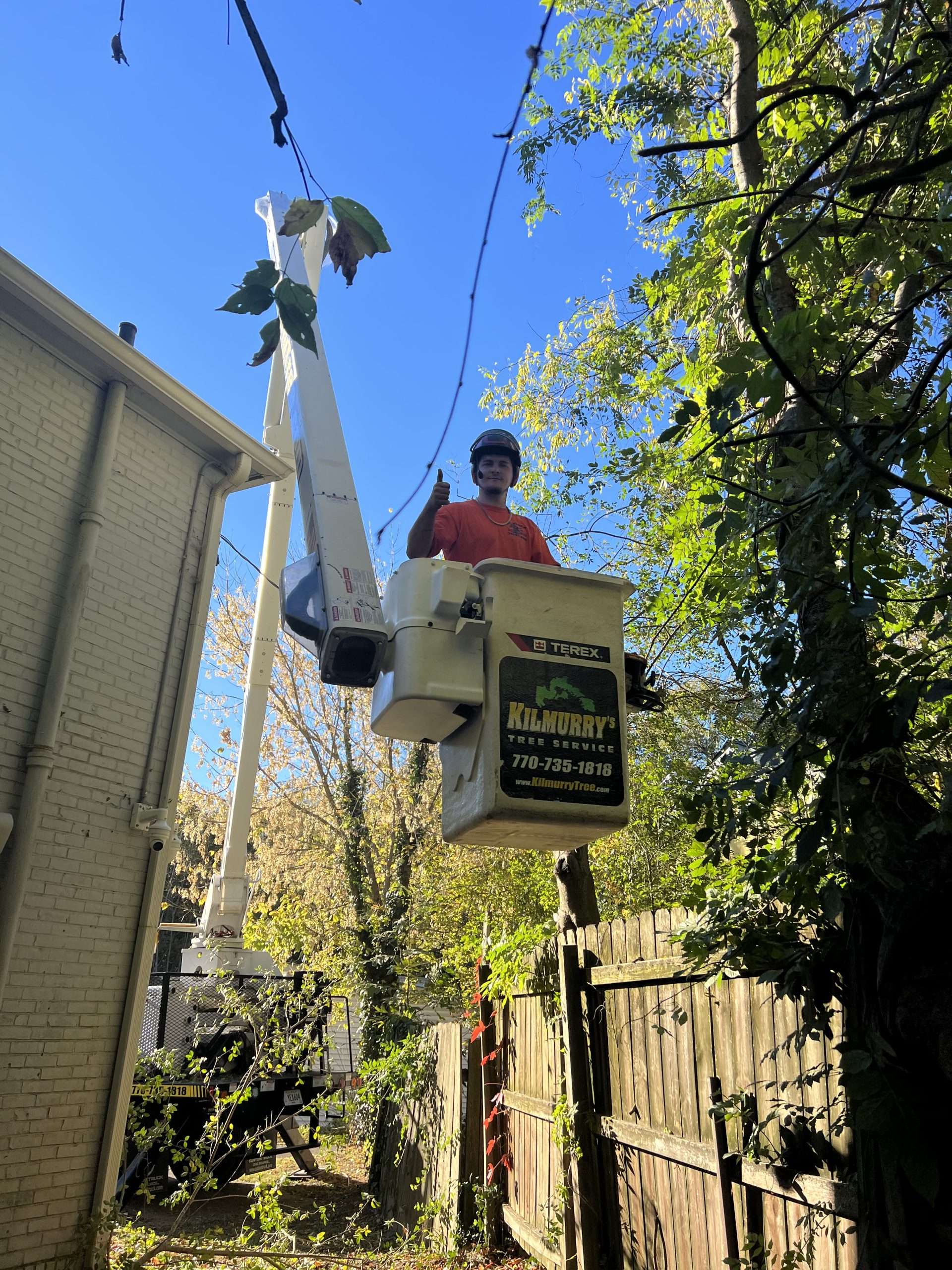 Tree Services - Kilmurry Tree