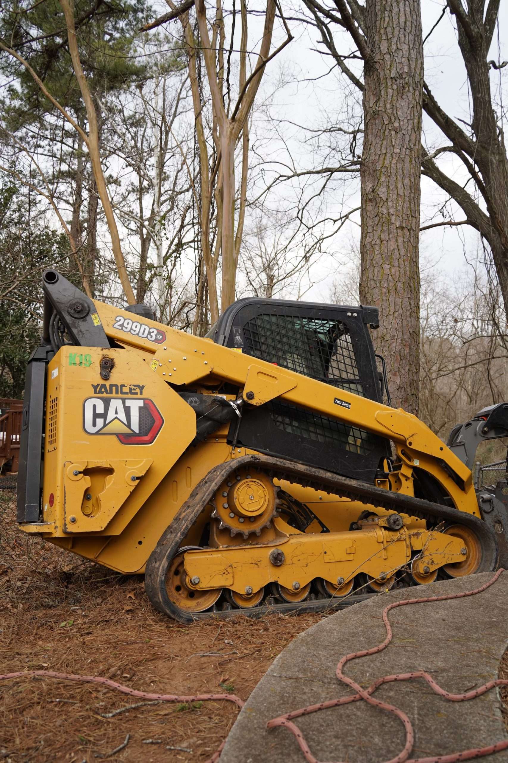 Portfolio - Kilmurry Tree